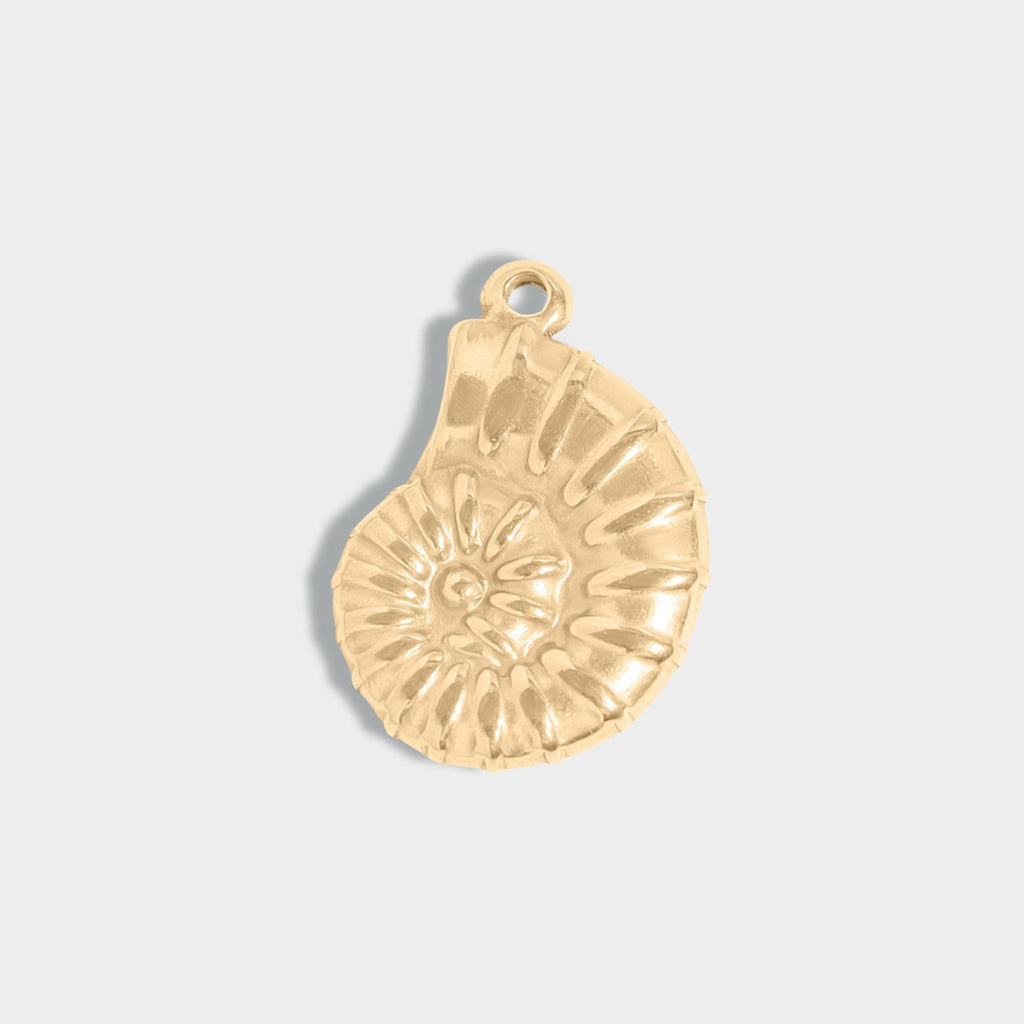 Nautilus Shell Charm – Destin Jewelry
